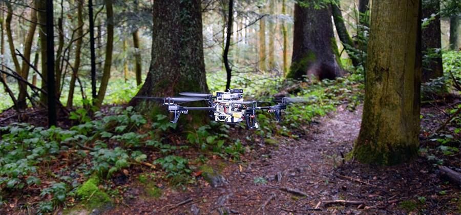 How Drones Are Being Used in Forestry: 5 Benefits of Remotely Piloted ...