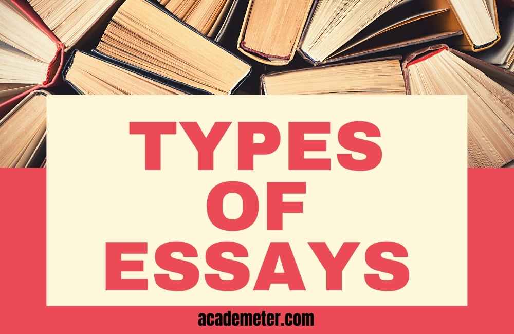 Essay Writing Tips and Strategies - Foreign Policy