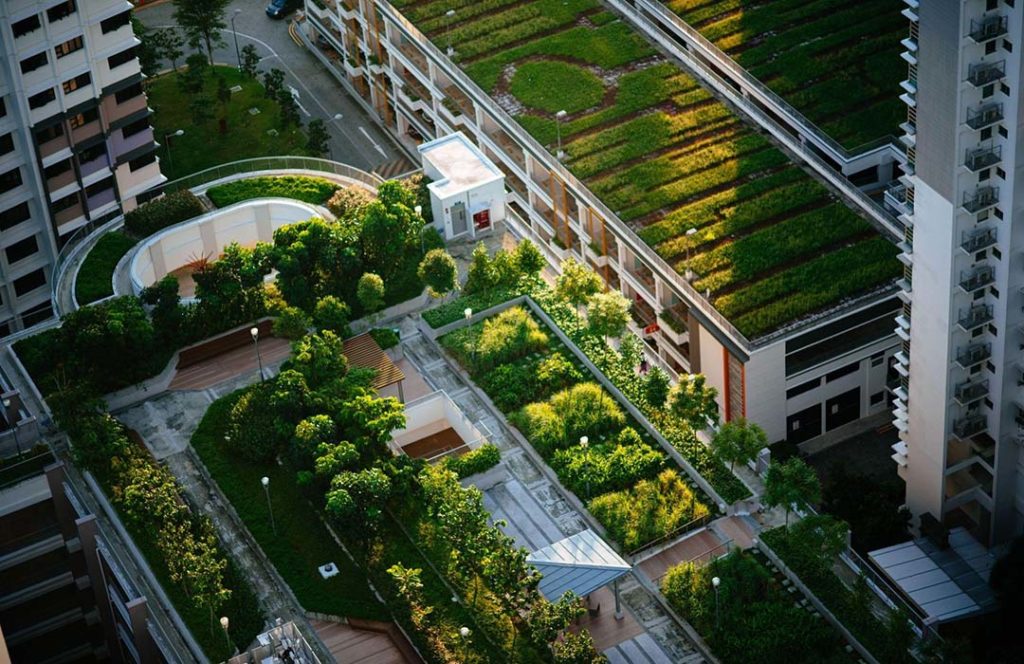 What are Green Cities? - Characteristics, Benefits, Challenges ...