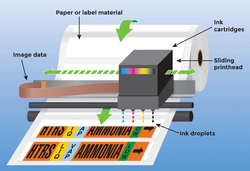 How Do Label Printers Work? A Comprehensive Guide - Foreign Policy