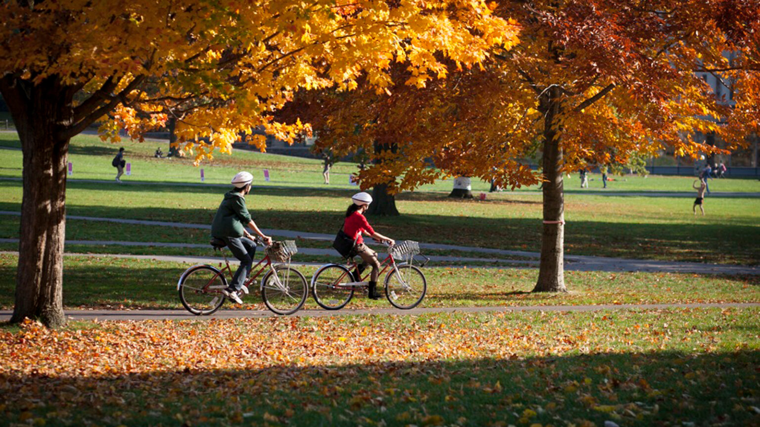 What are Green Cities? - Characteristics, Benefits, Challenges ...